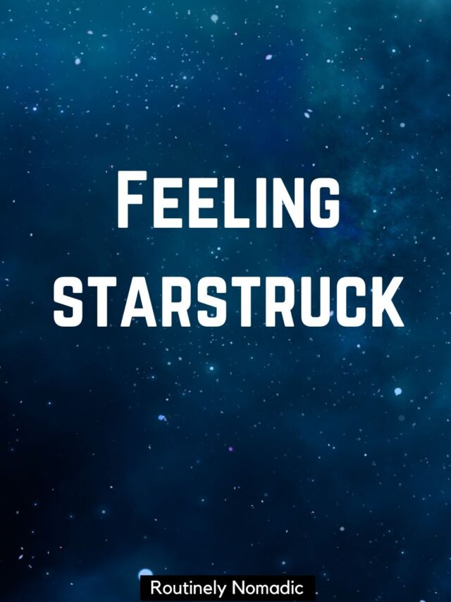 120 Twinkling Star Captions | Routinely Nomadic