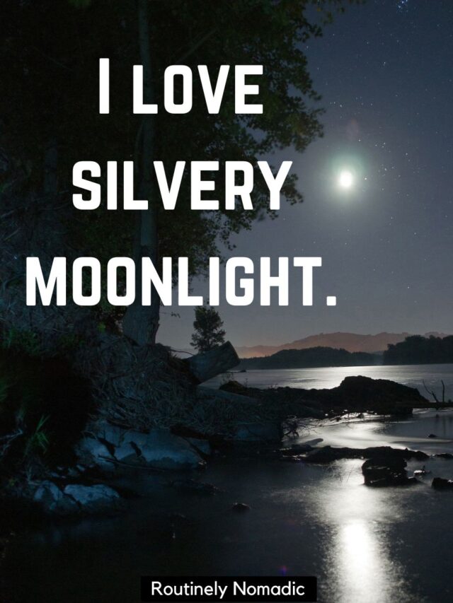 125 Perfect Moon Captions for 2023 | Routinely Nomadic