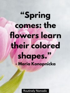 200 Short Spring Letter Board Quotes and Sayings to Welcome a New ...