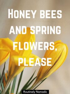 200 Short Spring Letter Board Quotes and Sayings to Welcome a New ...