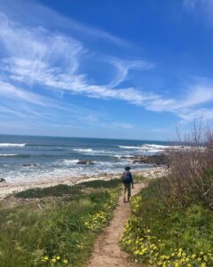 The Camino Portuguese Coastal Route: Everything You Need to Know ...