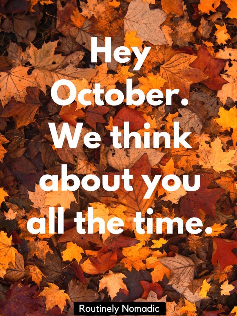 100 Best Hello October Captions For Instagram Routinely Shares 100 Best Hello October Captions For Instagram Routinely Shares
