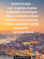 125 Perfect Porto Captions for 2023 | Routinely Nomadic