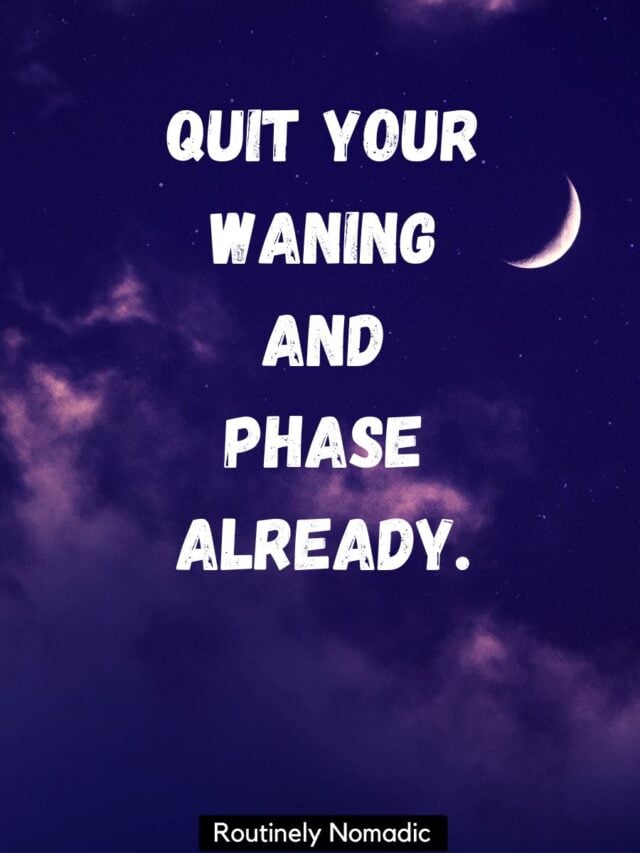 125 Perfect Moon Captions for 2023 | Routinely Nomadic