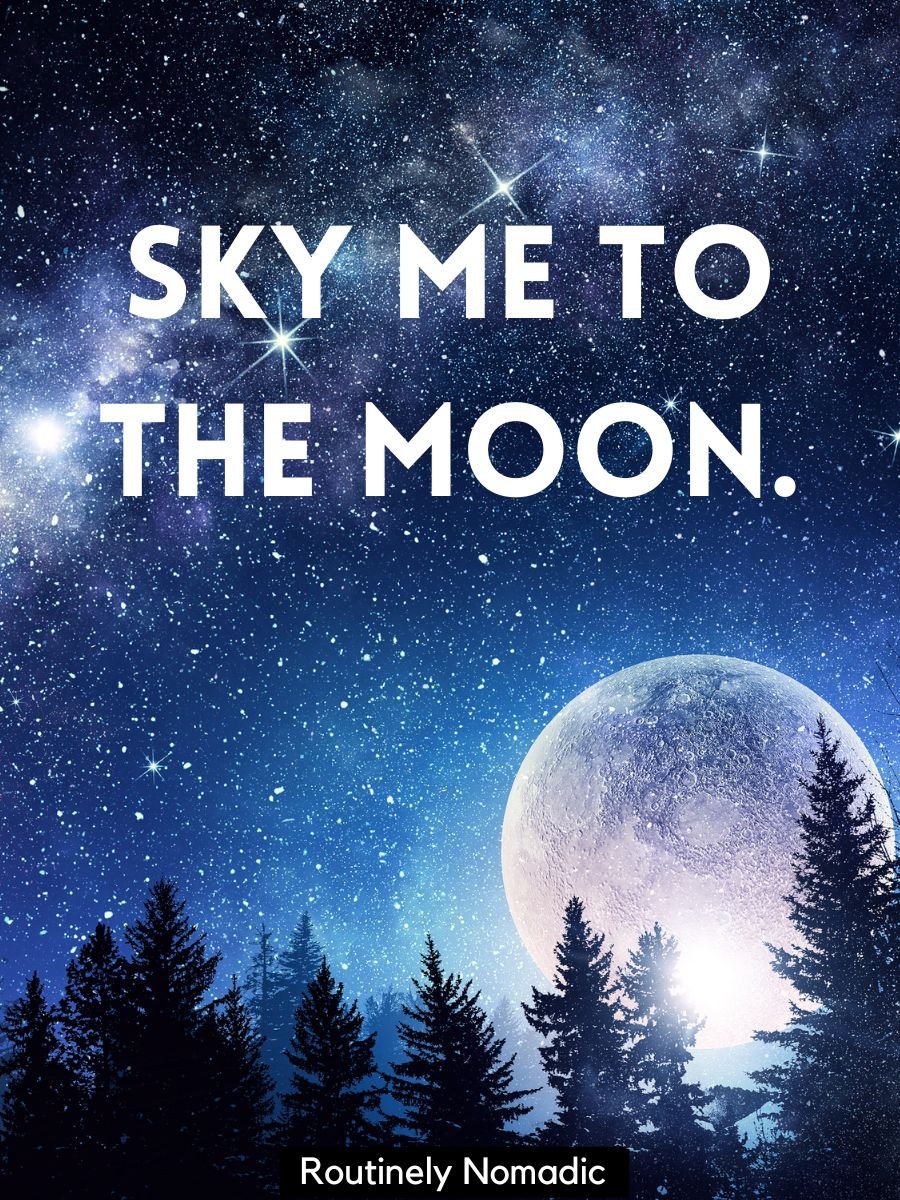 125 Perfect Moon Captions for 2023 | Routinely Nomadic