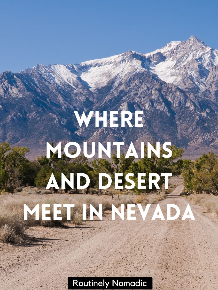 125 Perfect Nevada Captions | Routinely Nomadic