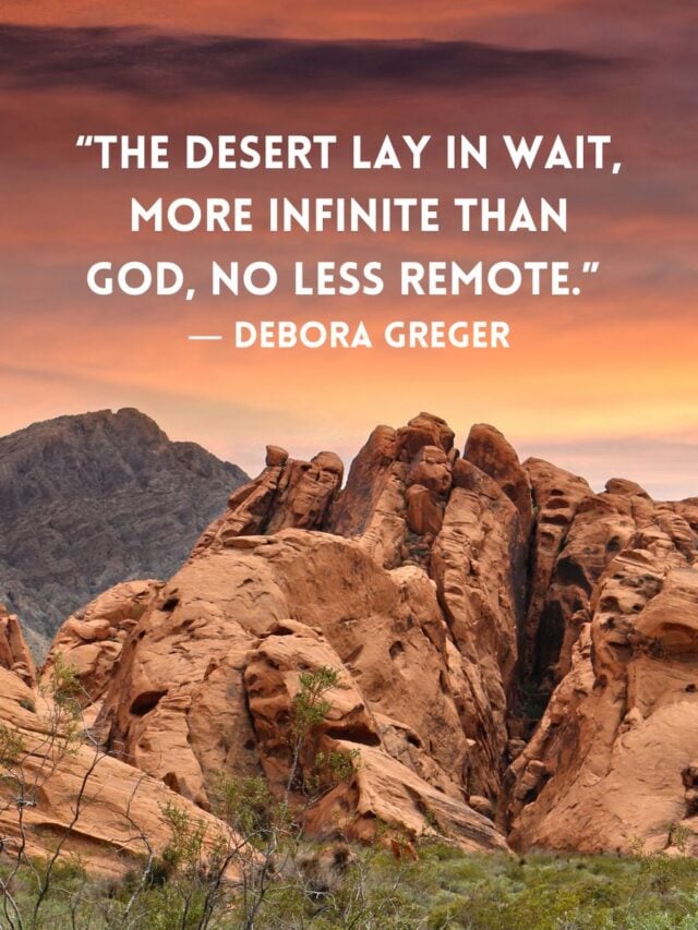 125 Perfect Nevada Captions | Routinely Nomadic