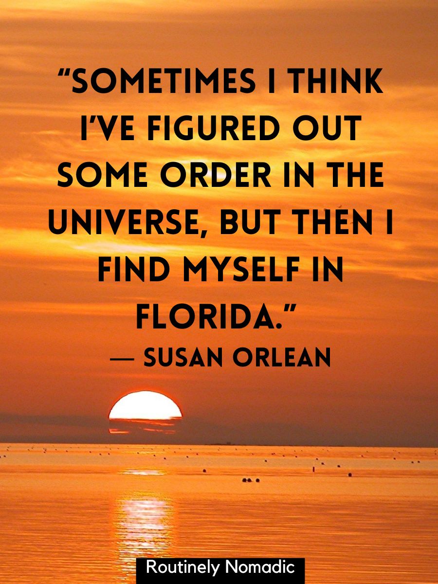 150 Amazing Florida Captions | Routinely Nomadic