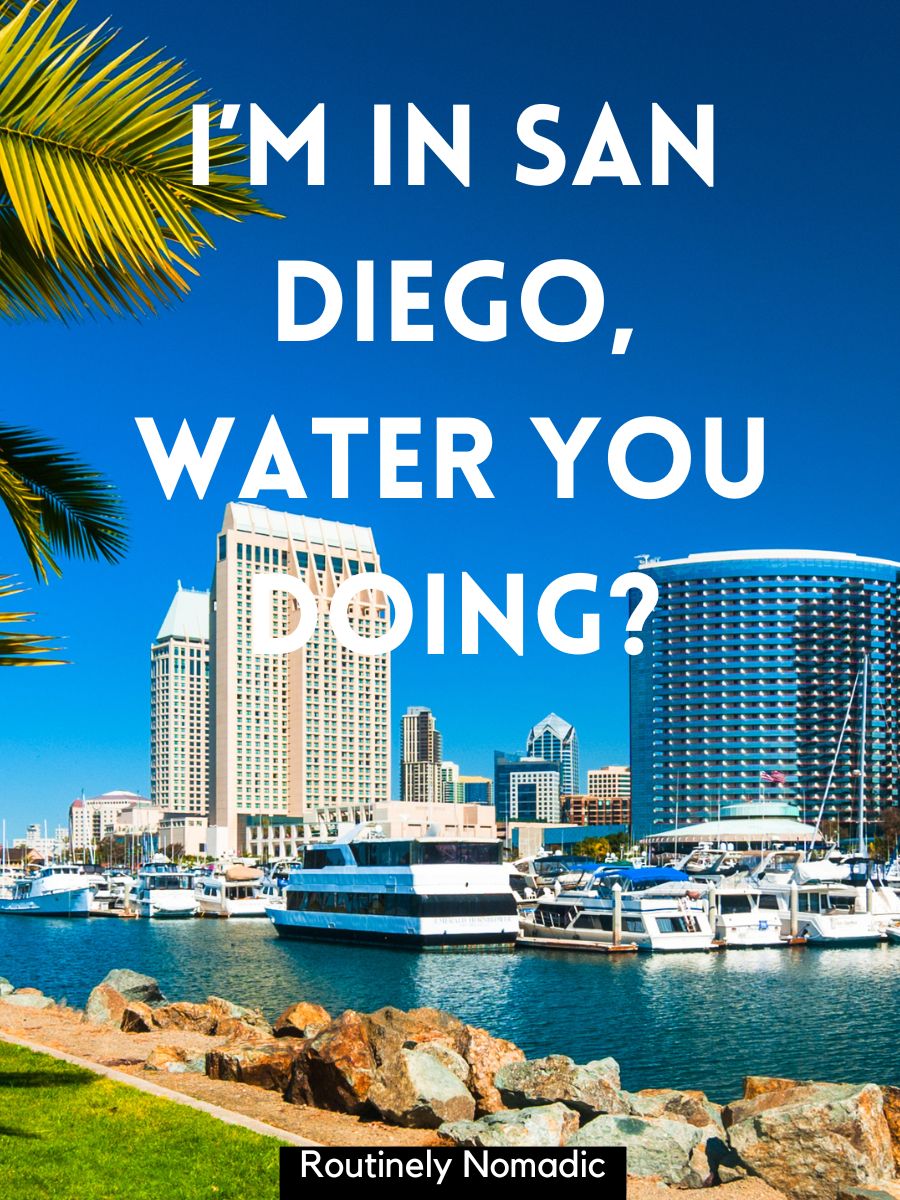 150 Sunny California Captions | Routinely Nomadic
