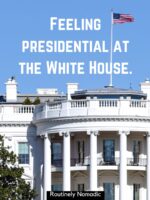 100 Best White House Captions | Routinely Nomadic