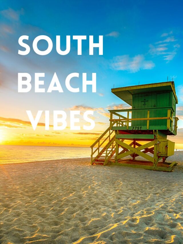150 Perfect Miami Captions Routinely Nomadic 150-perfect-miami-captions-routinely-nomadic
