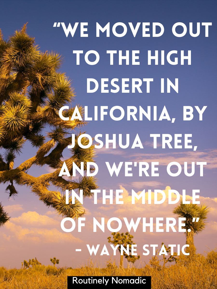150 Best Joshua Tree Captions | Routinely Nomadic
