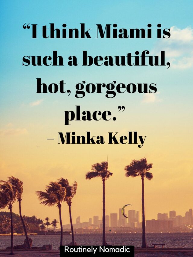 150 Amazing Florida Captions | Routinely Nomadic
