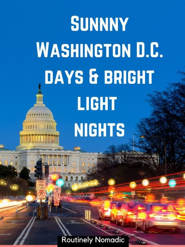 150 Washington D.C. Captions | Routinely Nomadic