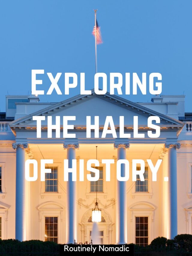 100 Best White House Captions | Routinely Nomadic