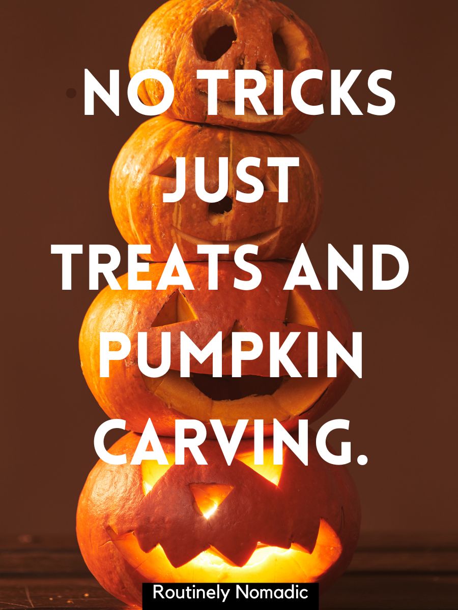 250 Cute, Funny and Short Pumpkin Captions, Sayings & Quotes for ...