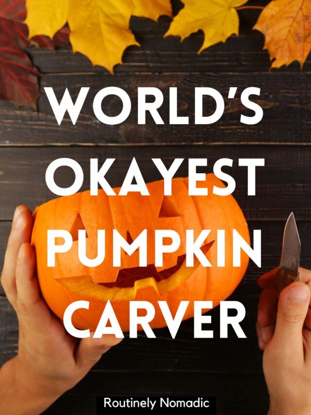 250 Cute, Funny and Short Pumpkin Captions, Sayings & Quotes for ...