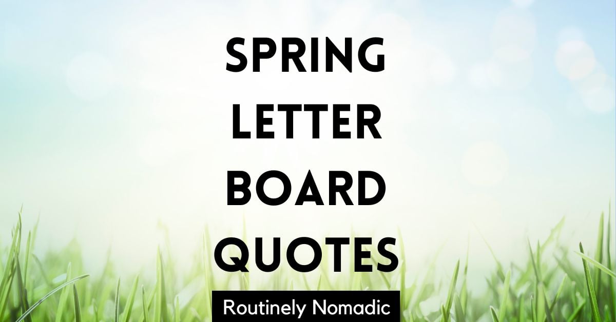 200 Short Spring Letter Board Quotes and Sayings to Welcome a New ...