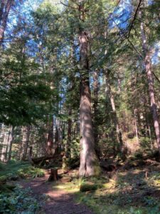 10 Outstanding Things to Do on Denman Island | Routinely Nomadic