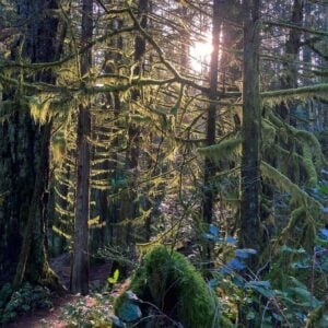 Mystic Beach: A Complete Guide to Hiking, Camping and Waterfalls ...