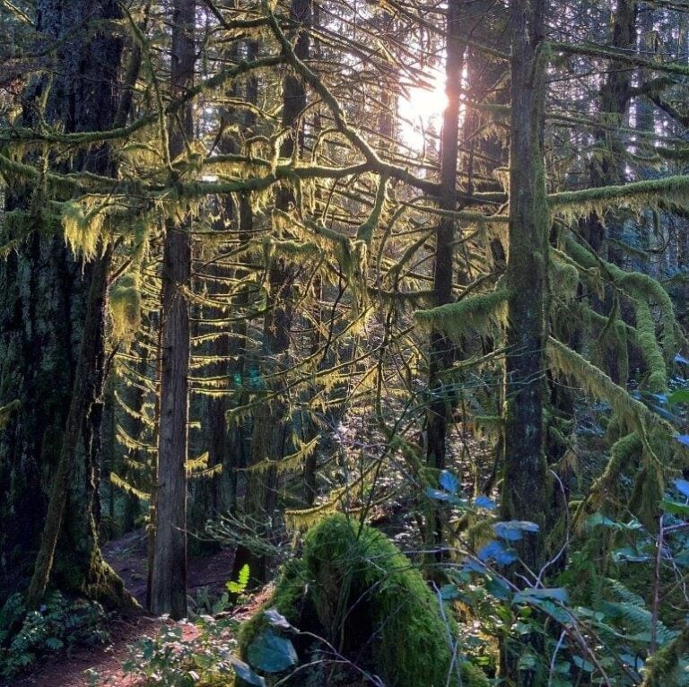 Mystic Beach: A Complete Guide to Hiking, Camping and Waterfalls ...