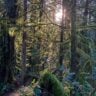 Mystic Beach: A Complete Guide to Hiking, Camping and Waterfalls ...