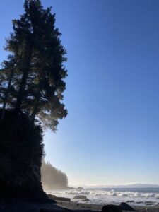 Sombrio Beach: Guide to Camping, Hiking and Surfing | Routinely Nomadic