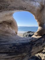 Sombrio Beach: Guide to Camping, Hiking and Surfing | Routinely Nomadic
