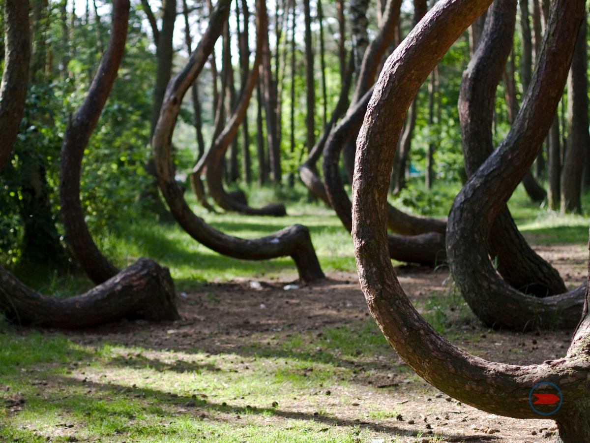 Saskatchewan Highlights: 18 Great Places to Visit in Summer | Routinely ...