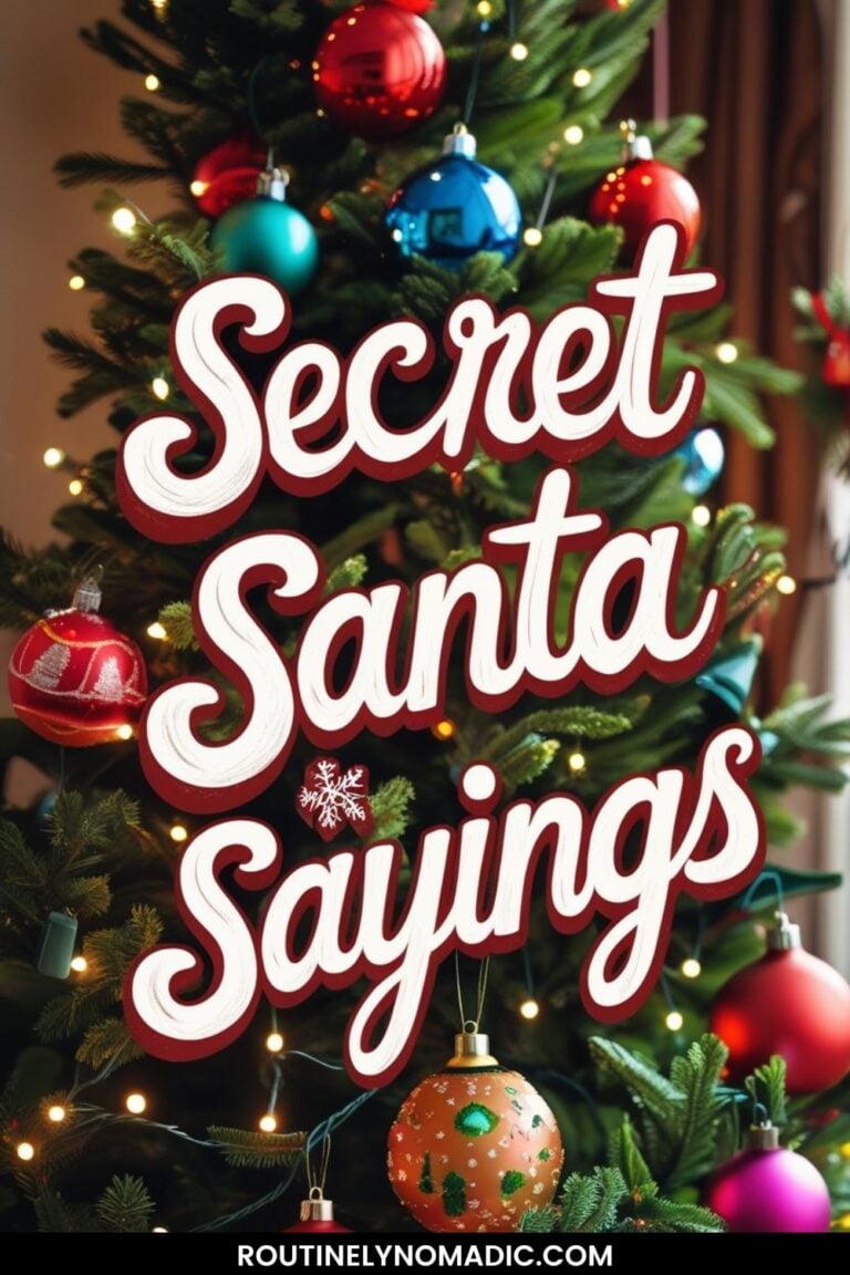 Short, Funny and Cute Secret Santa Messages, Sayings and Captions ...