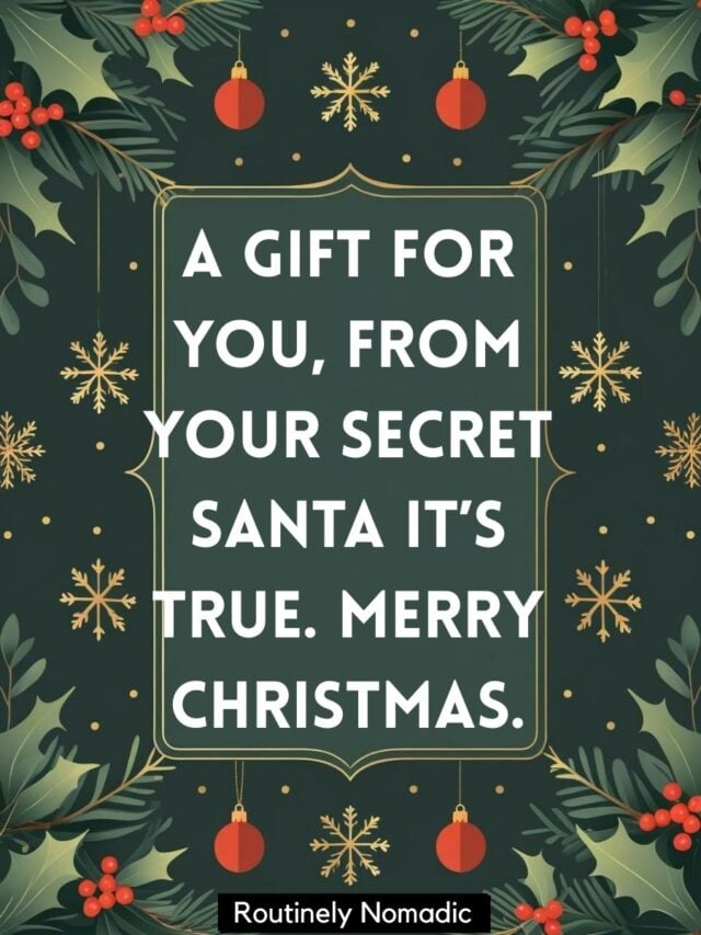 Short, Funny and Cute Secret Santa Messages, Sayings and Captions ...