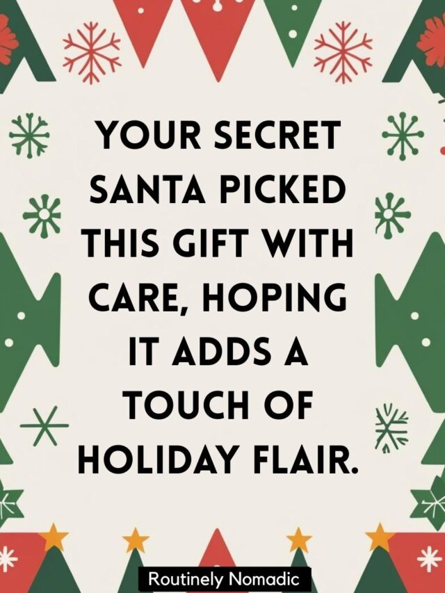Short, Funny and Cute Secret Santa Messages, Sayings and Captions ...
