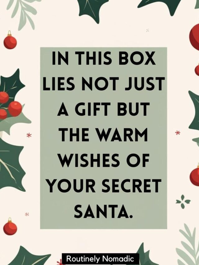 Short, Funny and Cute Secret Santa Messages, Sayings and Captions ...