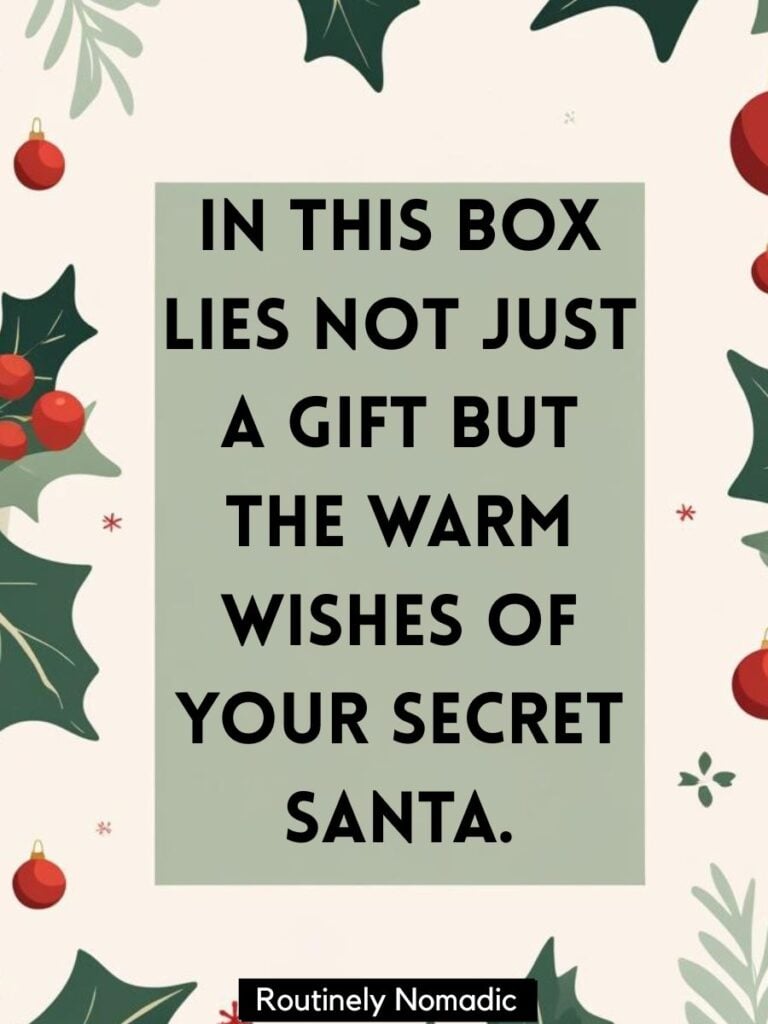 Short, Funny and Cute Secret Santa Messages, Sayings and Captions ...