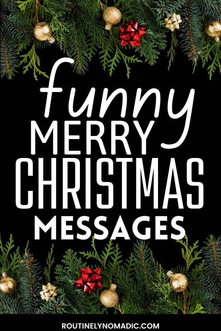 Funny Merry Christmas Messages and Wishes to Share a Holiday Laugh ...