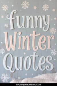 150 Funny Winter Quotes to Laugh Away the Seasonal Blues | Routinely ...