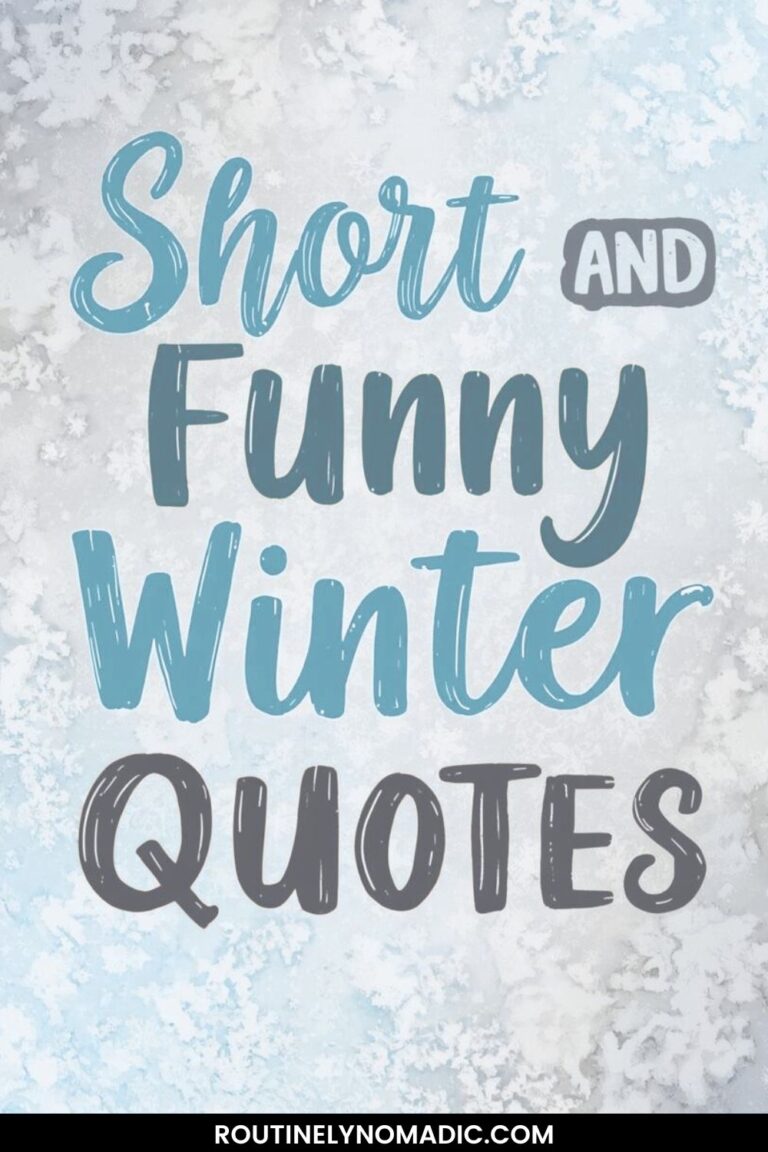 150 Funny Winter Quotes to Laugh Away the Seasonal Blues | Routinely ...