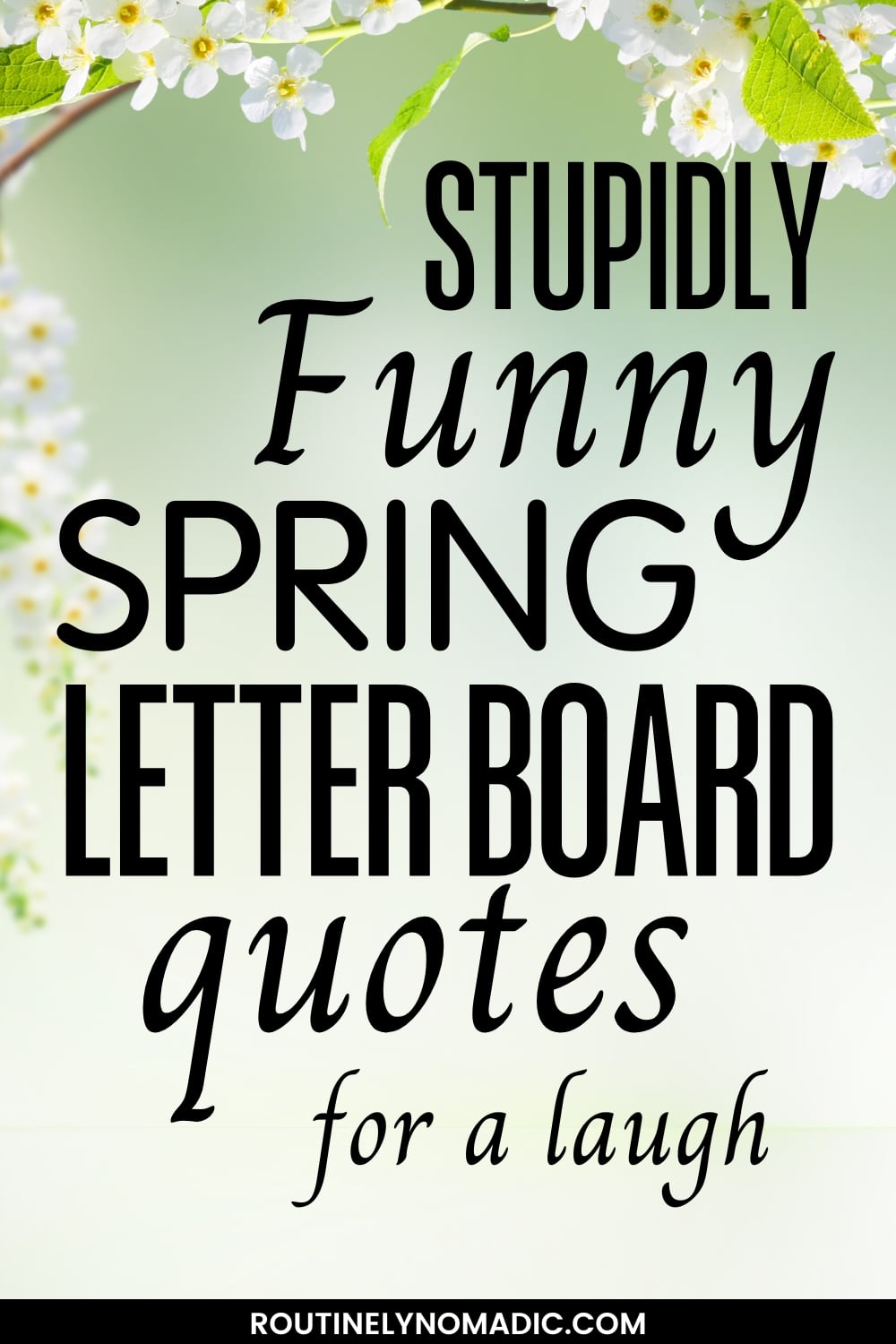 Funny Spring Letter Board Quotes to Announce the Arrival of Spring ...